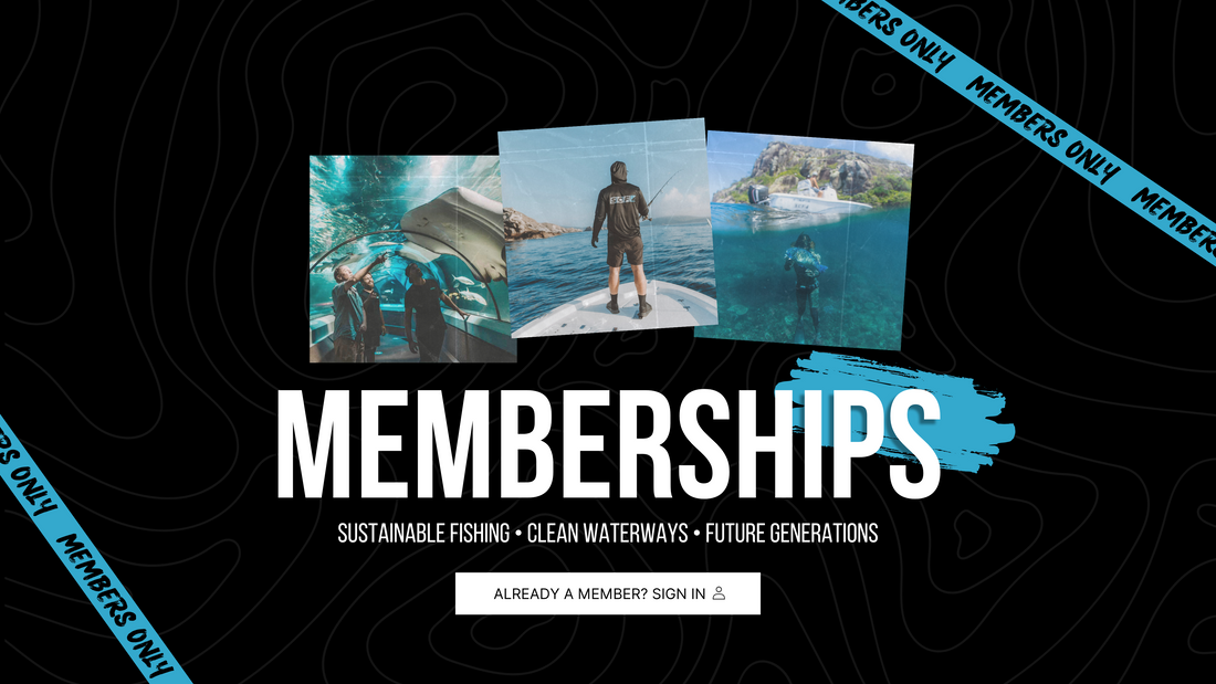 SCF Membership Plans – SCF Australia